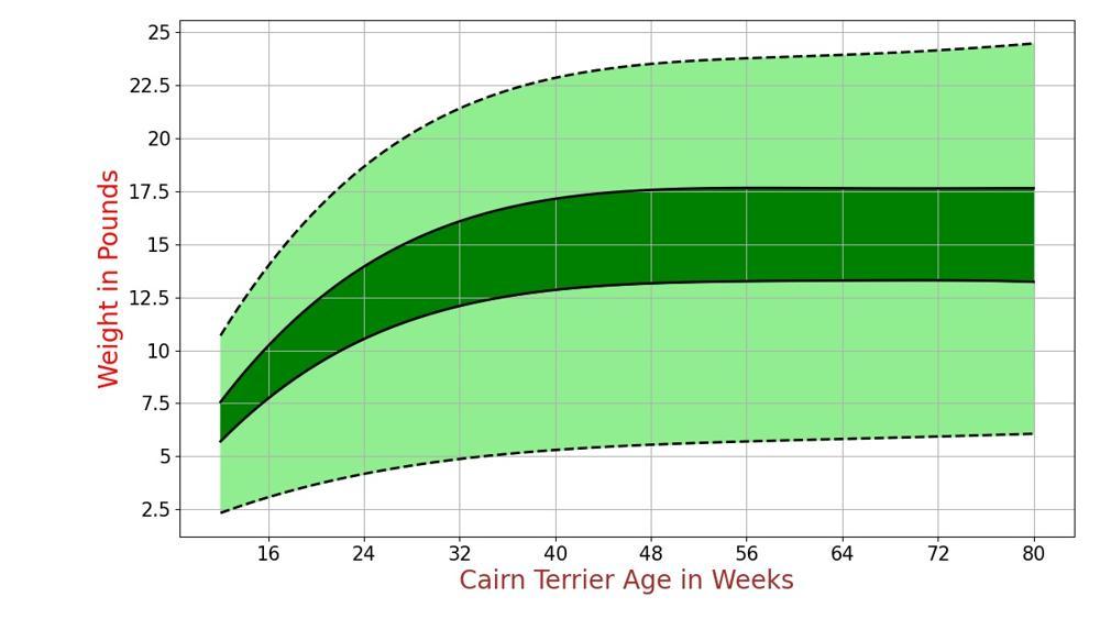 Cairn Terrier Weight Chart